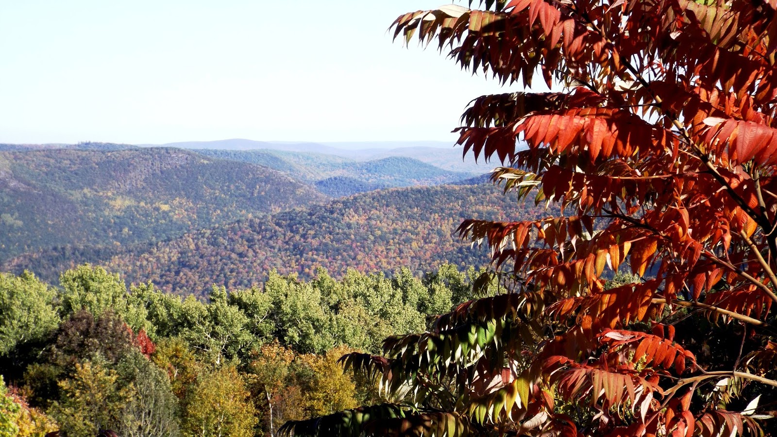 Podróże po Nowej Angli.: Mohawk Trail - MA