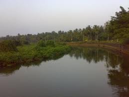 KERALA THE LAND OF RIVERS /FISHES/ WATERFALLS/ BEACH/ LAKE/ DAMS ...