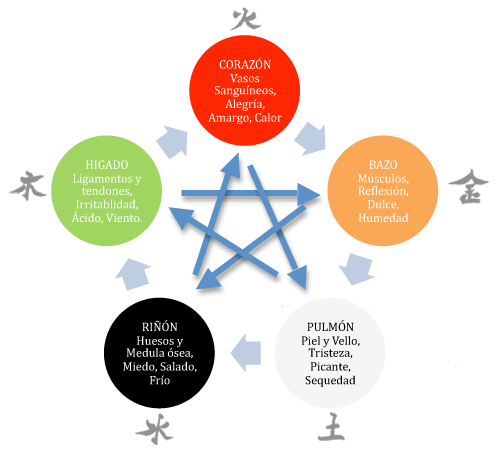 Tiempo De Acupuntura: Teoría de los cinco elementos.