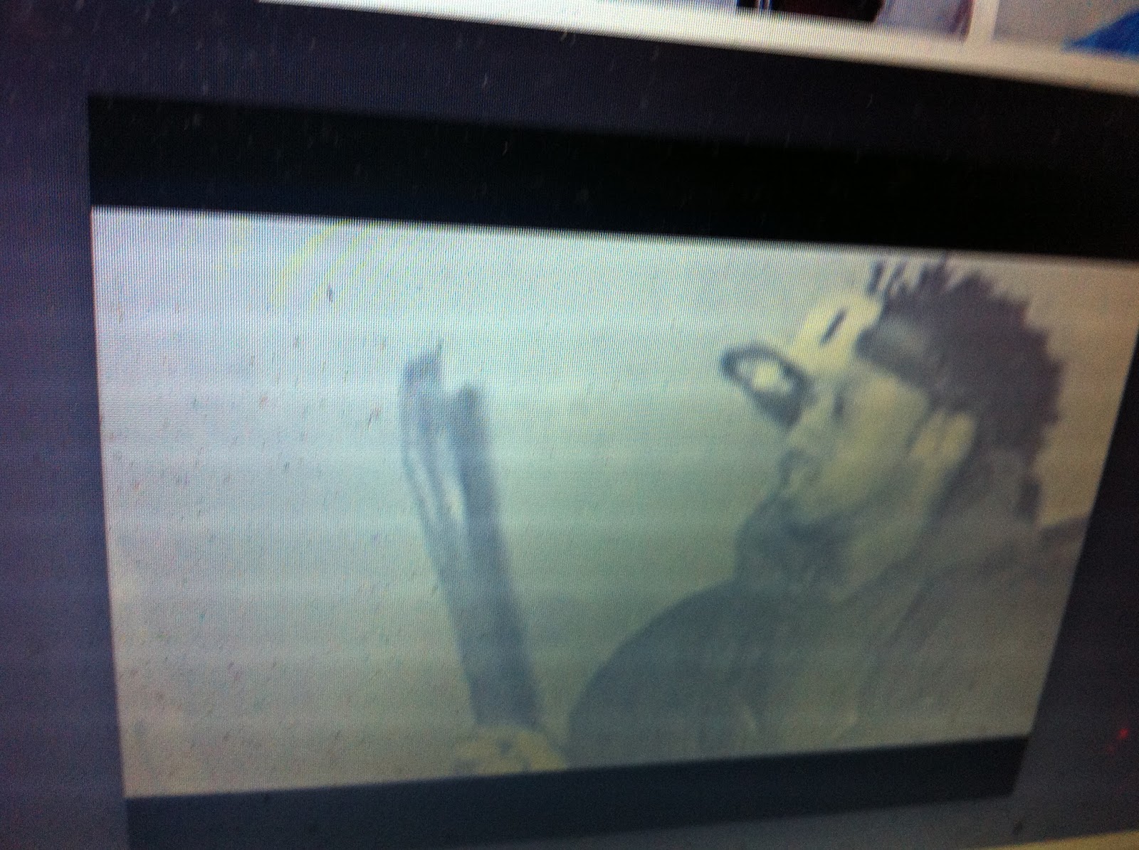 THE BLACK SOCIAL HISTORY:: BLACK SOCIAL HISTORY - AFRO-ENGLISH " DJ ...