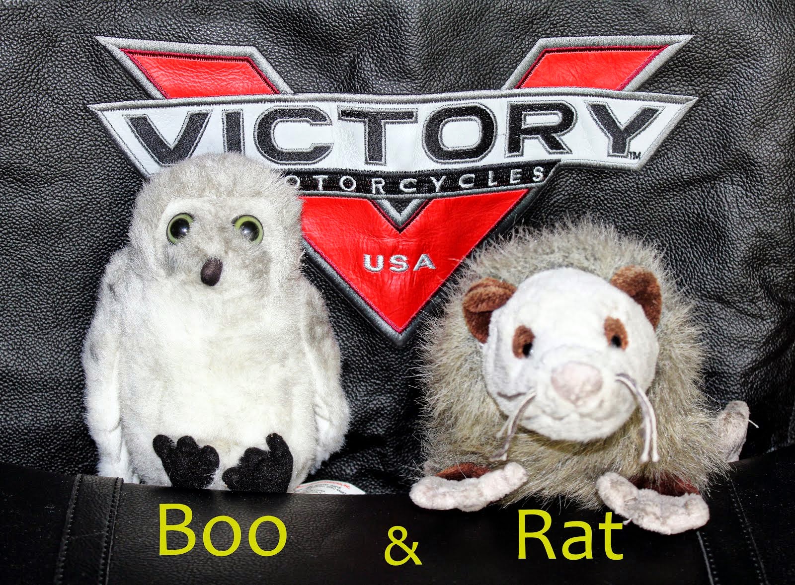 Boo & Rat's Big Adventure: Day 12 - Post #1 - Stephanie