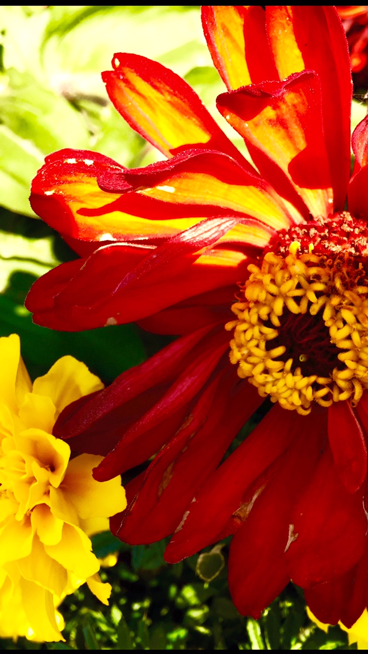 Cloudhidden: Chelan after the fire and a flight to Stehekin