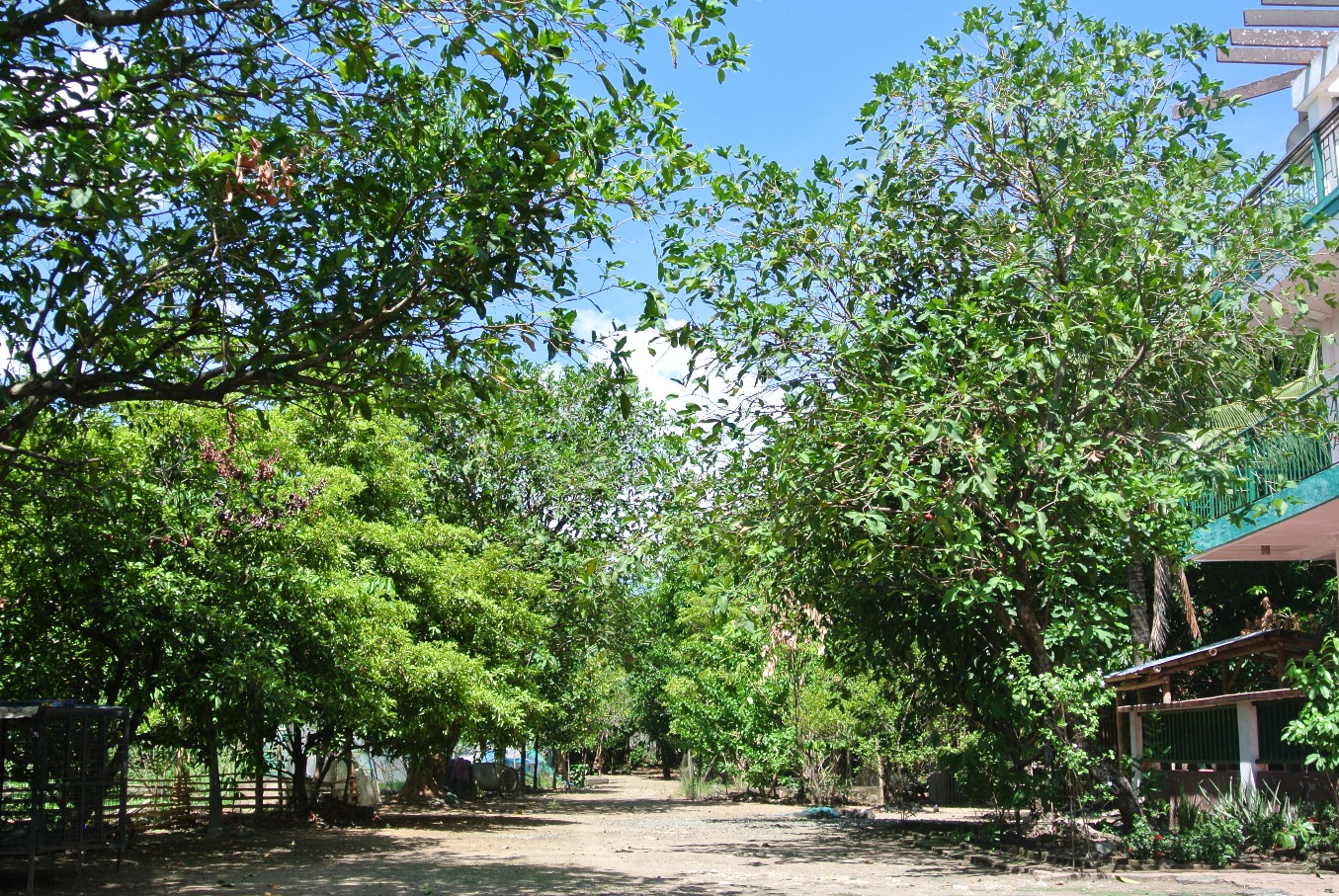 Property for Sale: Brgy. Geronimo, Rodriguez (Montalban), Rizal ...