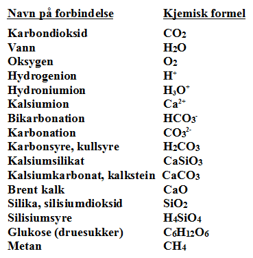Klimablogg: Karbonsyklusen