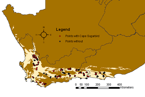 Stories from Blue Hill Escape: The Impact of FIRE on Fynbos Birds
