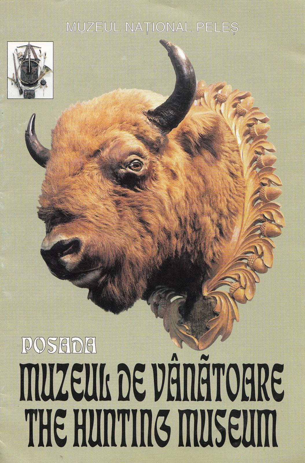 Imi pasa: Castelul Posada/Castelul Bibescu