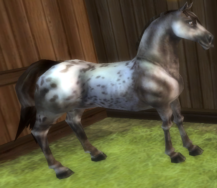 Star Stable Daily : Horse Breeds