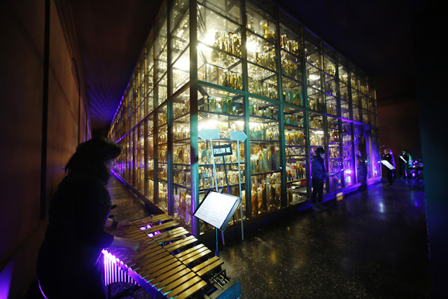 NAU NUA: RETE MIRABILE | WUNDERNETZ