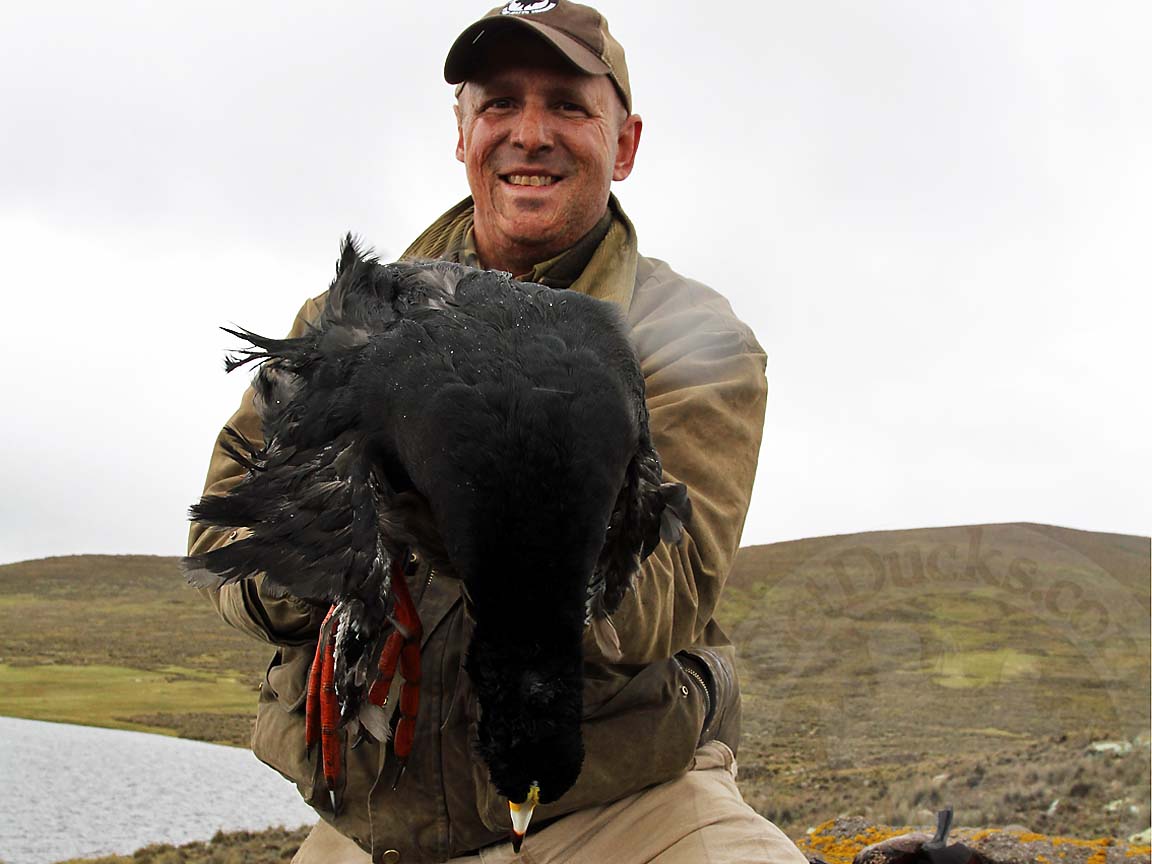 Ramsey Russell's GetDucks.com Journal: Peru Duck Hunting Is Breathtaking