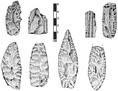 Cameron Anderson Architecture QUT: DESIGNED DECAY
