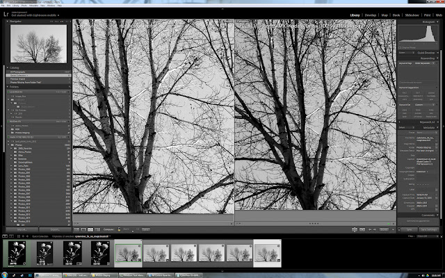 Matt's Photography Tips: Scanning Film With A Digital Camera