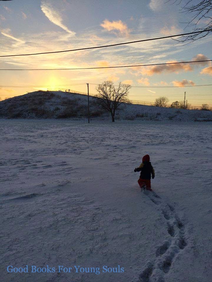Good Books For Young Souls: EXPERIENCING "SNOW DAYS" WITH BOOKS