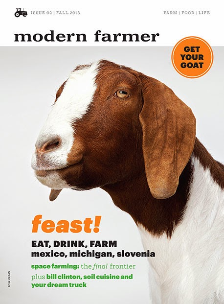 Lucindaville: Modern Farmer