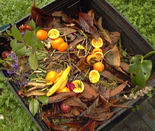 Jardin interior: elaborar compost en maceta para tus plantas