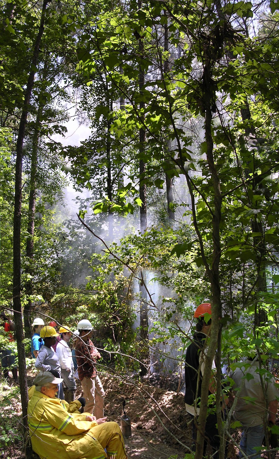 Landings: April 2012