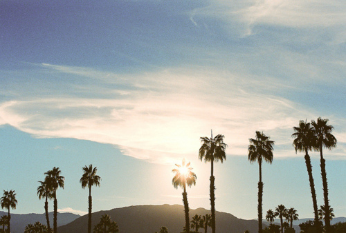 BAND-A-HOLICS: COOL CALI