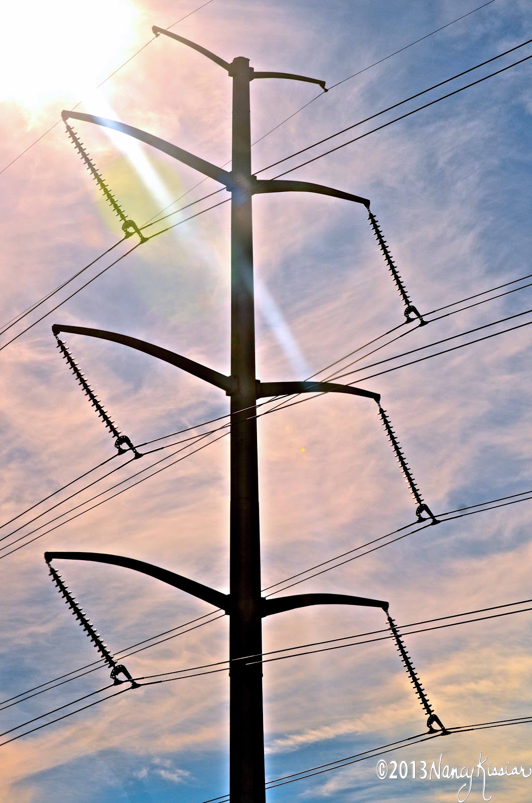 Wild About Texas: Raw Power...The Stark Beauty of Power Lines