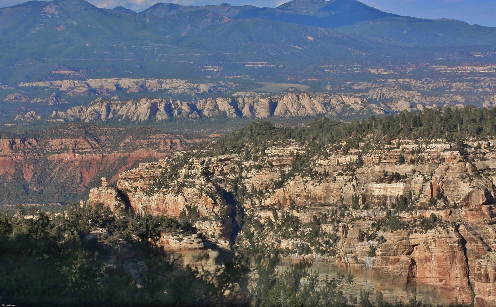 The Southwest Through Wide Brown Eyes: The Manti La-Sal National Forest ...