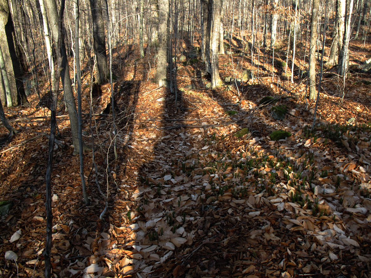 White Mountain Sojourn: 11-17-12 Osseo aka Whaleback Mountain, A ...