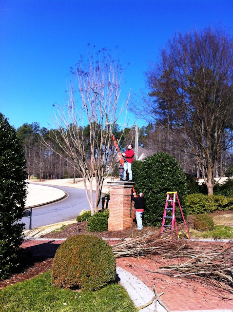 A Chef in the Garden: This is the Rationale for Crape Murder.....