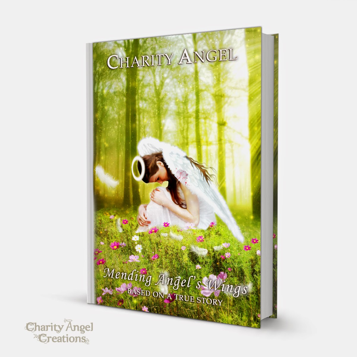 Mending Angel's Wings Book Series