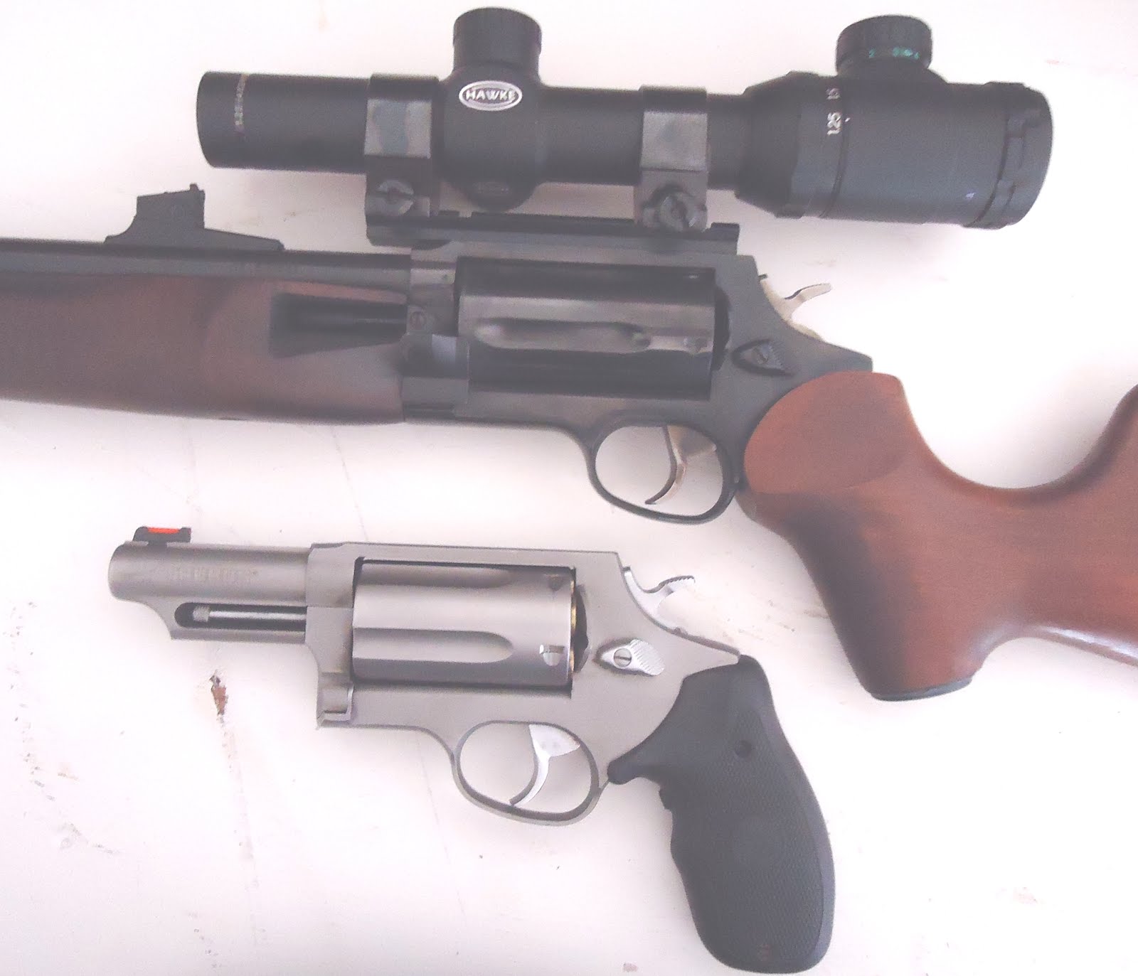 Bob Shell's Blog: Circuit Judge