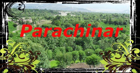 Spreebird: Parachinar