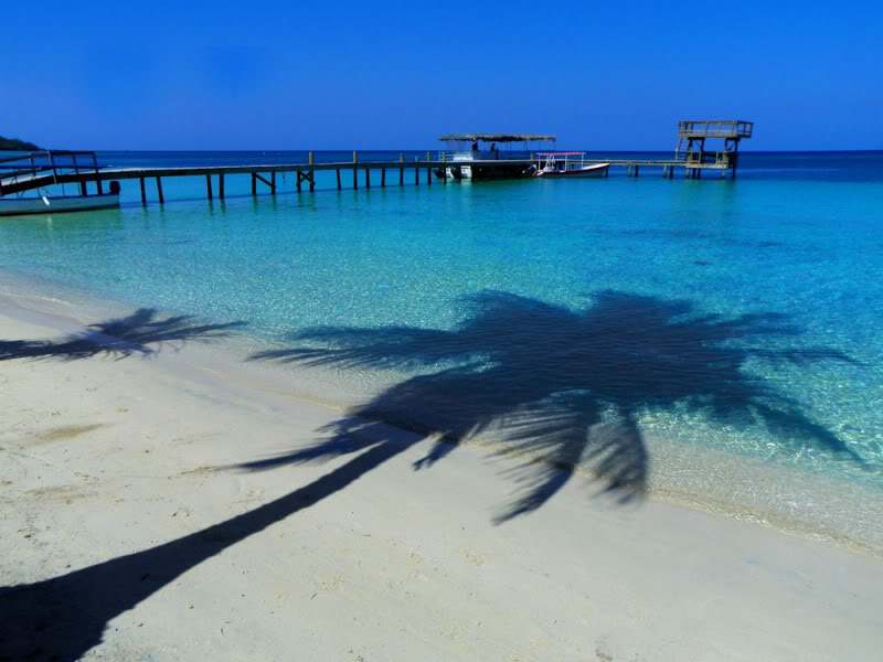 Playas de Roatan ~ Imágenes de Honduras, Foto de Honduras