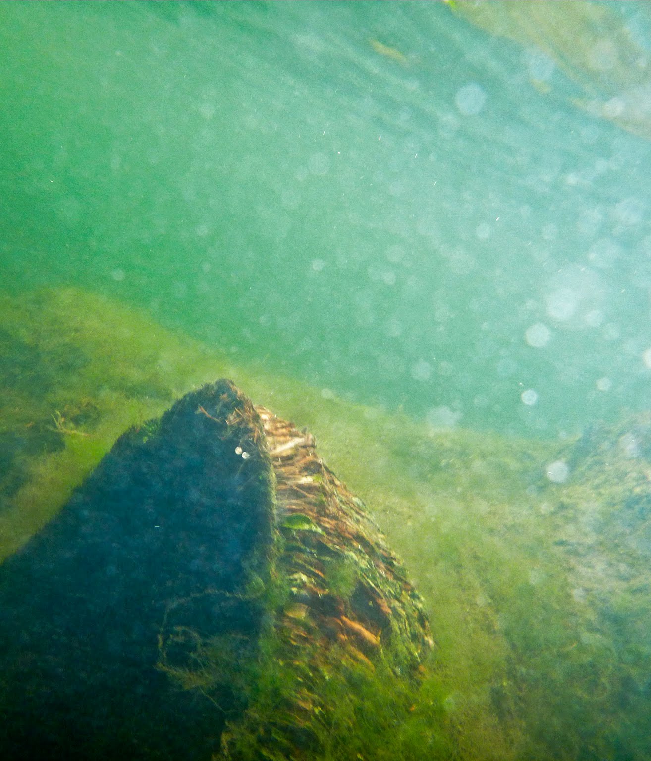 Old Florida: Holy water, sacred ground