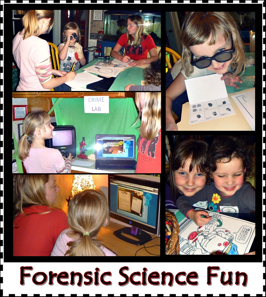 Home Grown Hearts Academy Homeschool Blog: Forensic Science Unit Fun