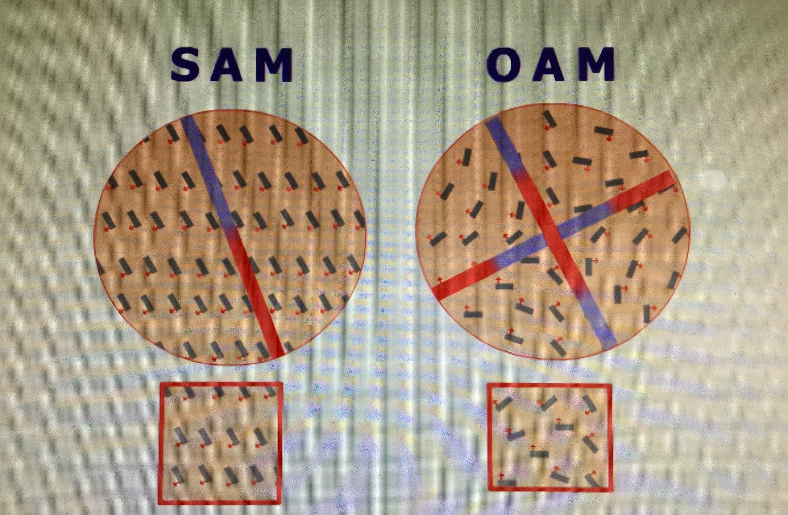 Physics Explained Spin And Orbital Angular Momentum