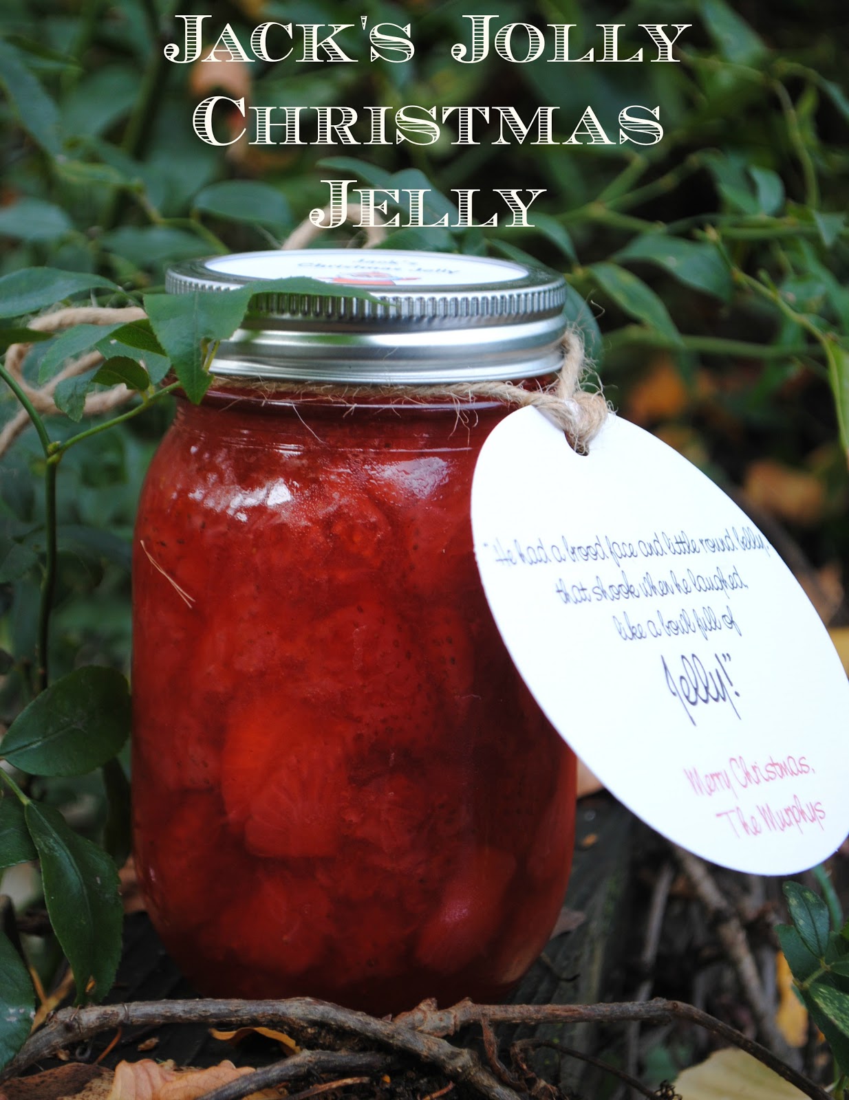 Jac o' lyn Murphy: Jolly Belly Jelly...Christmas Gift
