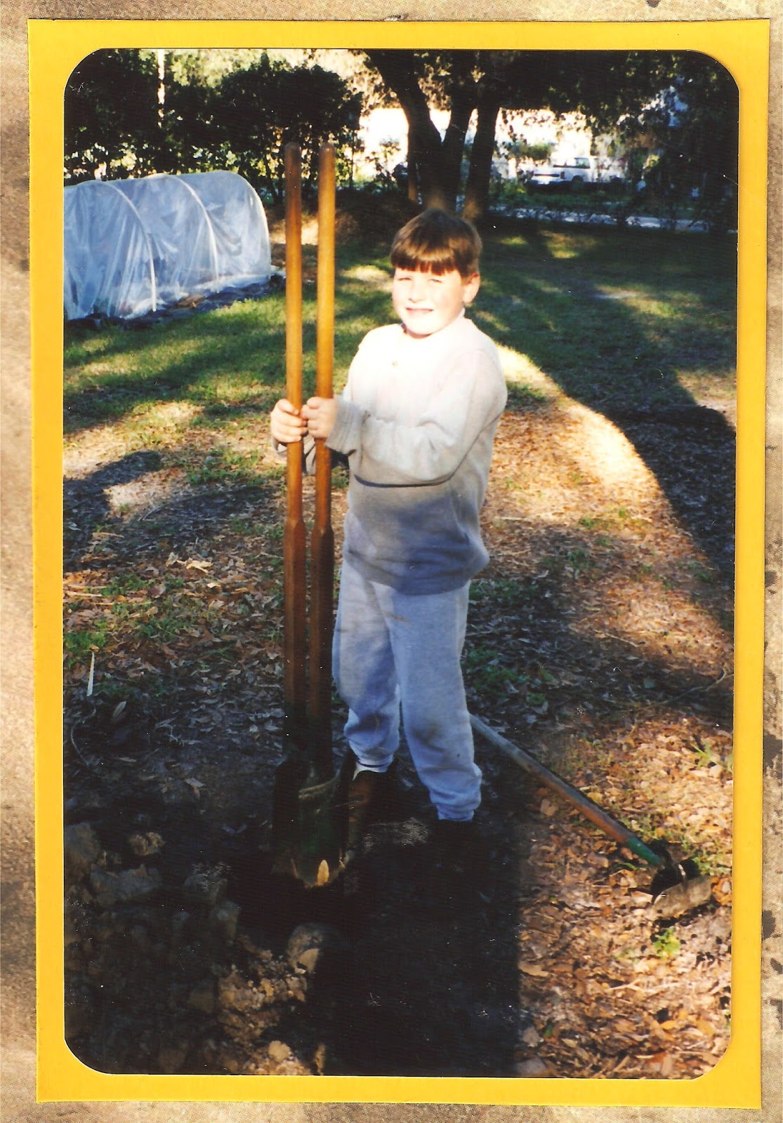 Everything You Need to Know is in a Children's Book...: Sam & Dave Dig ...