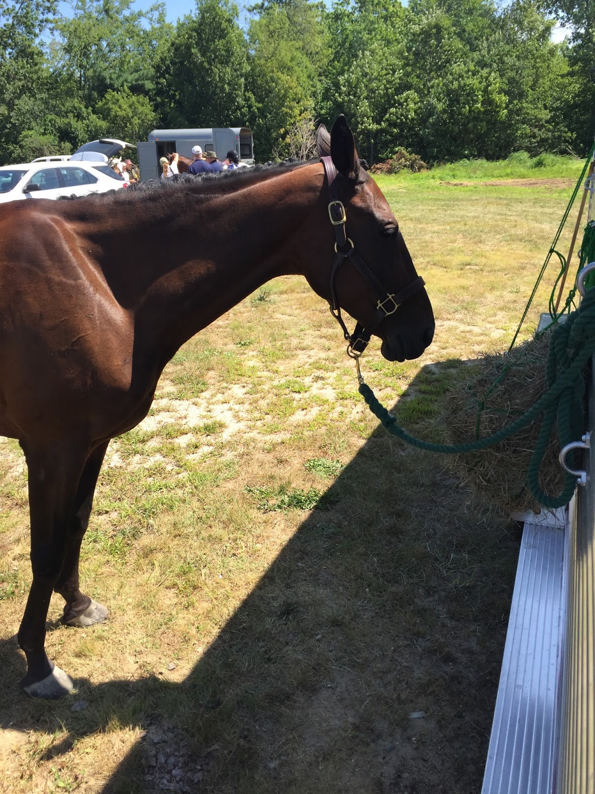 Hilltop Equestrian Center Horse Trials - August 6, 2017
