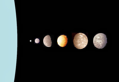 What's In a Name? | Virginia Living Museum