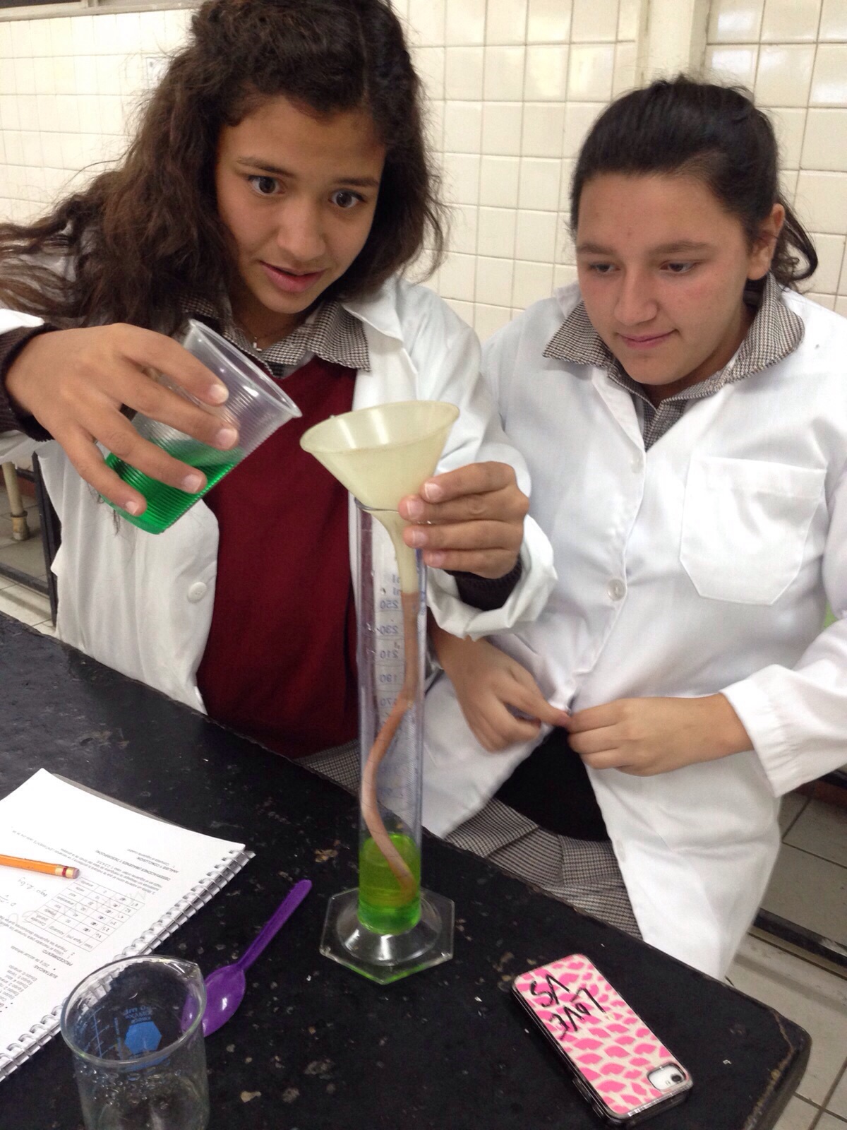 prácticas de química : PRÁCTICA 5.