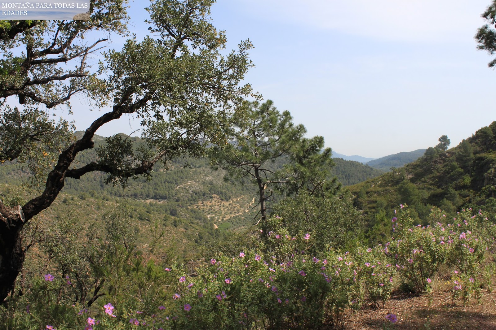 MONTAÑA PARA TODAS LAS EDADES: La Cueva de L´Oret y la Font de les ...