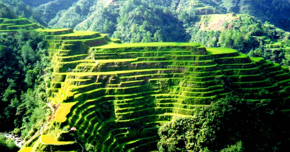 Spinning Freak™: Terrace Mountain