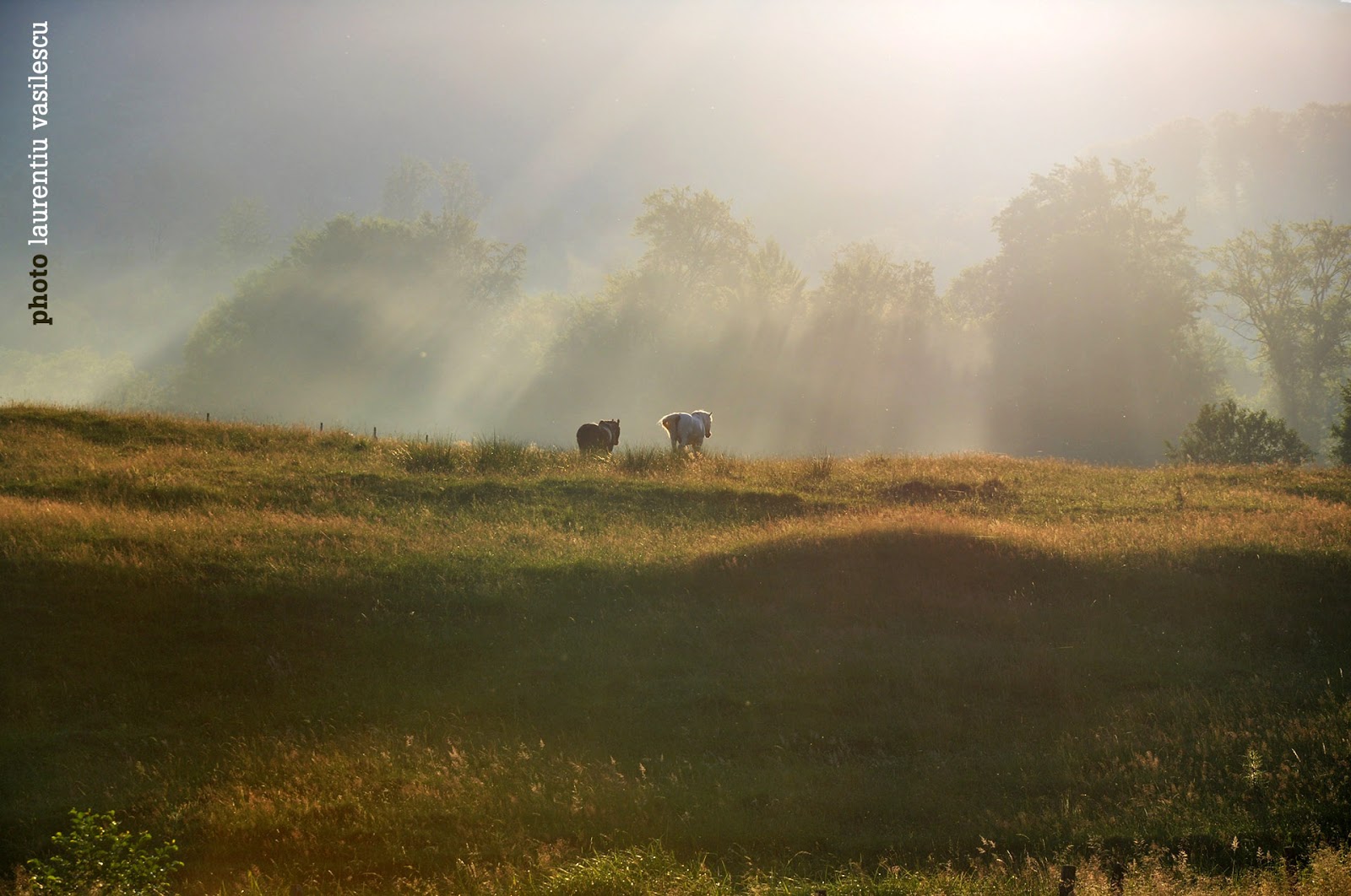 Raze de soare - momente