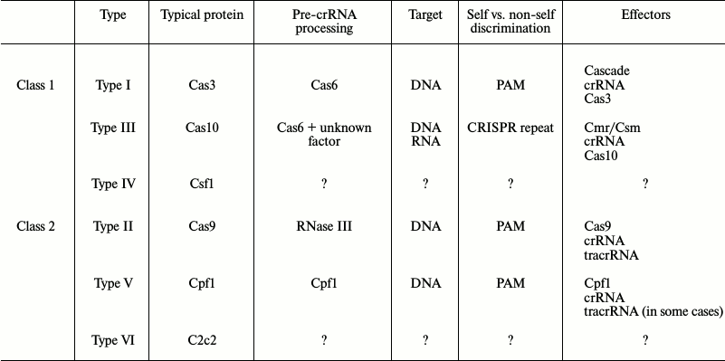 CRISPR cas- Snap look