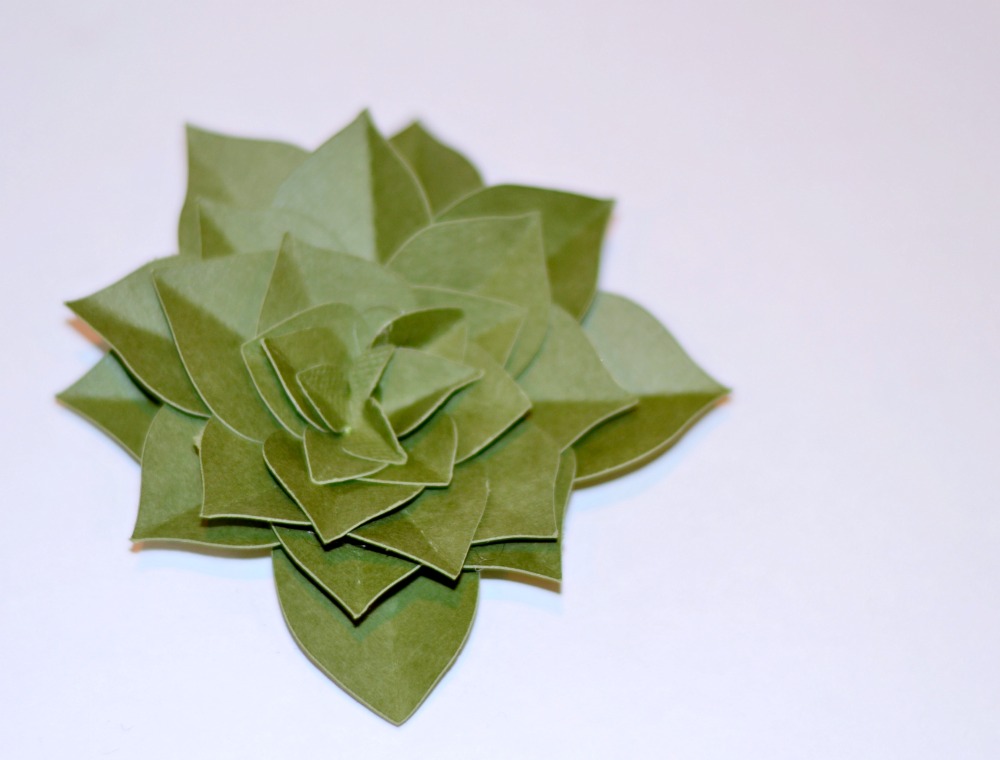 Paper Succulent Terrarium for the Black Thumb