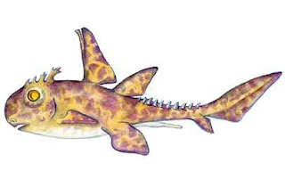 Los animales en la prehistoria: junio 2013