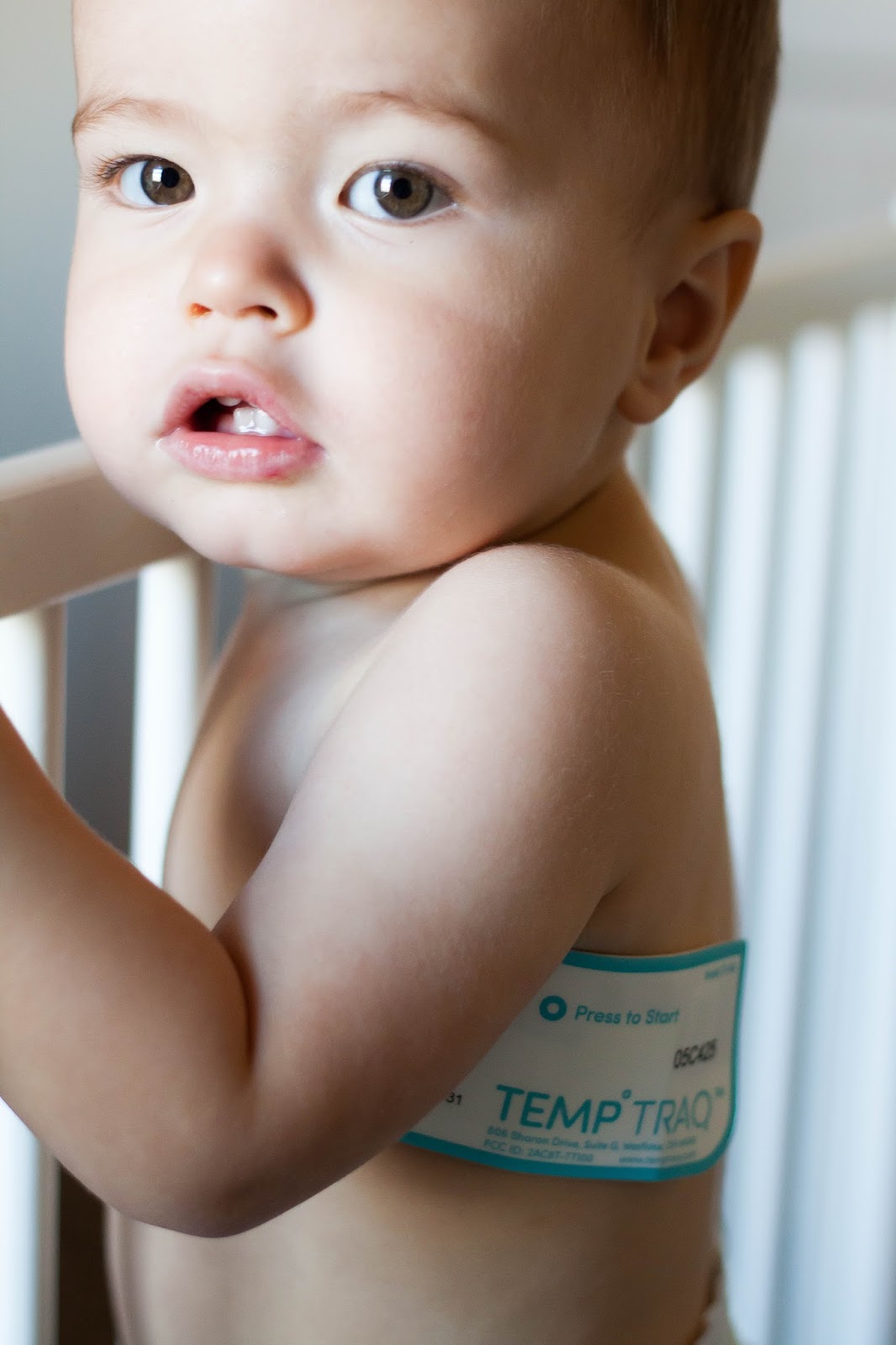 do it yourself divas: TempTraq® Review