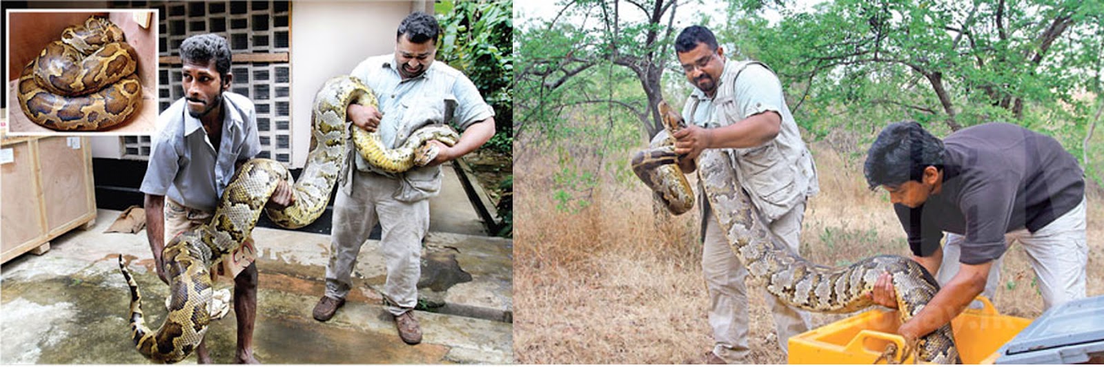 See it 1st News @ Mahiyangan - බින්තැන්නේ වං හුං: July 2012