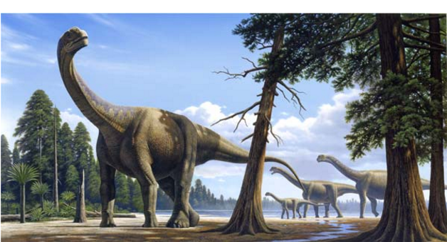 CAMINHOS BÍBLICOS: BEEMOTE, HIPOPÓTAMO OU DINOSSAURO