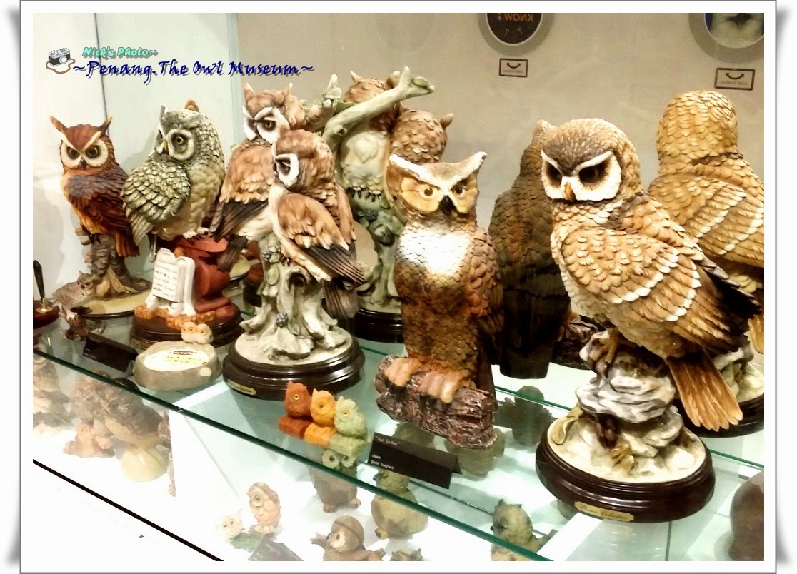 吴 ” 聊的天地。。。。: 槟城：The Owl Museum。猫头鹰博物馆@Penang Hill。。。
