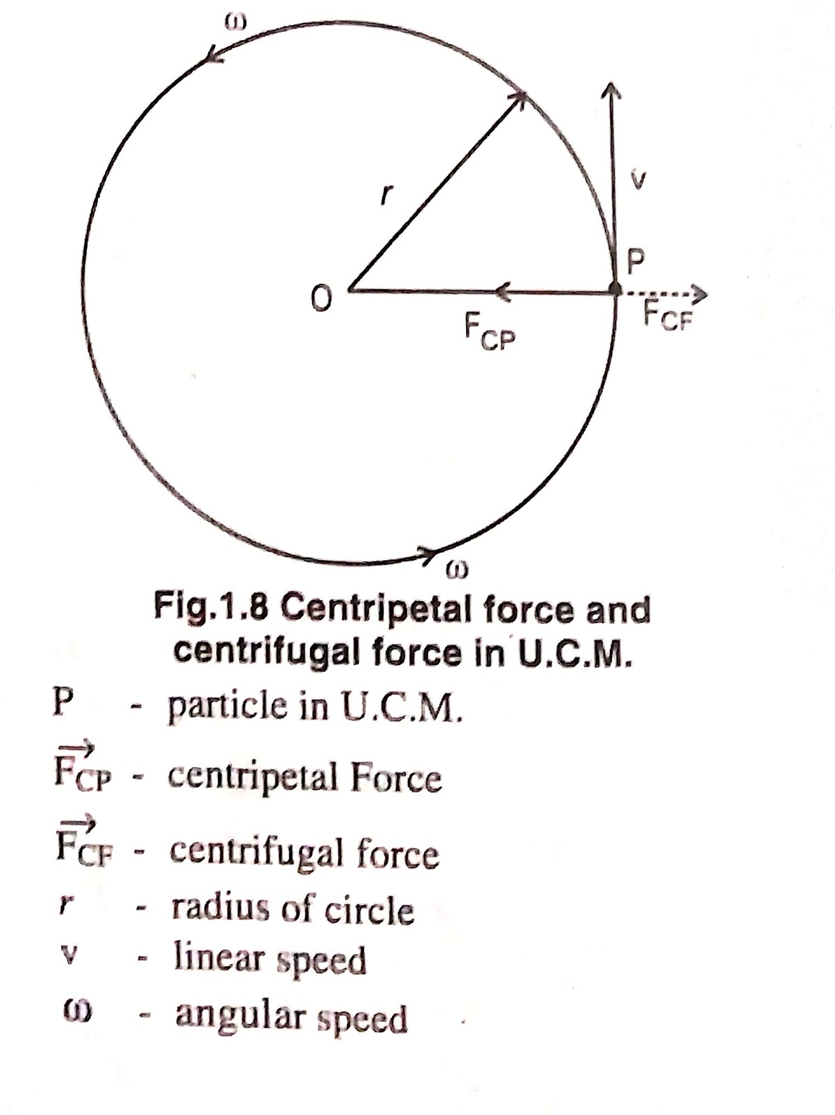 Circular motion