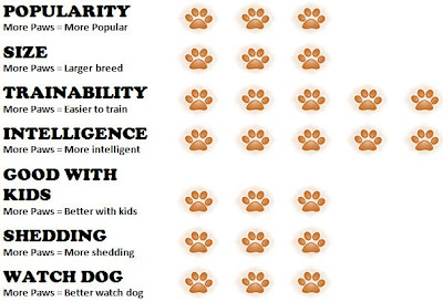 All about Dogs: Australian Cattle Dog Facts