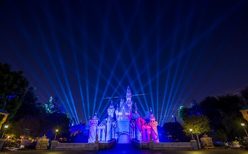 Disney Photoblography