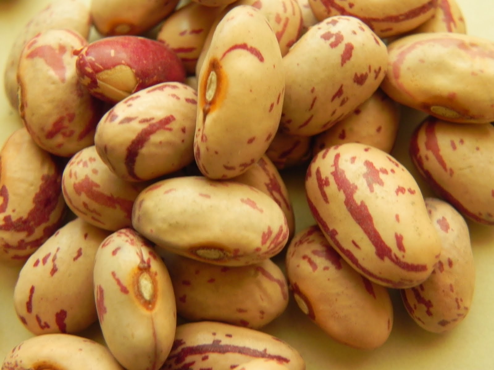 Bienvenido "A Rañada": Habas Pintas